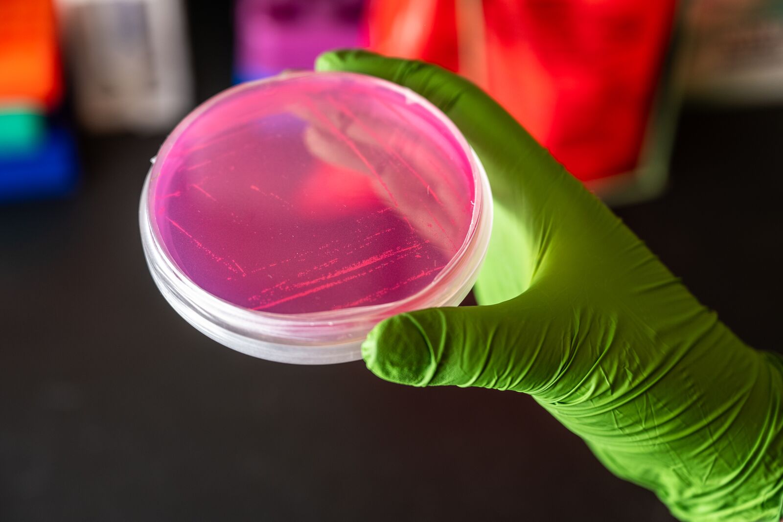 What is Phenomics? | PNNL